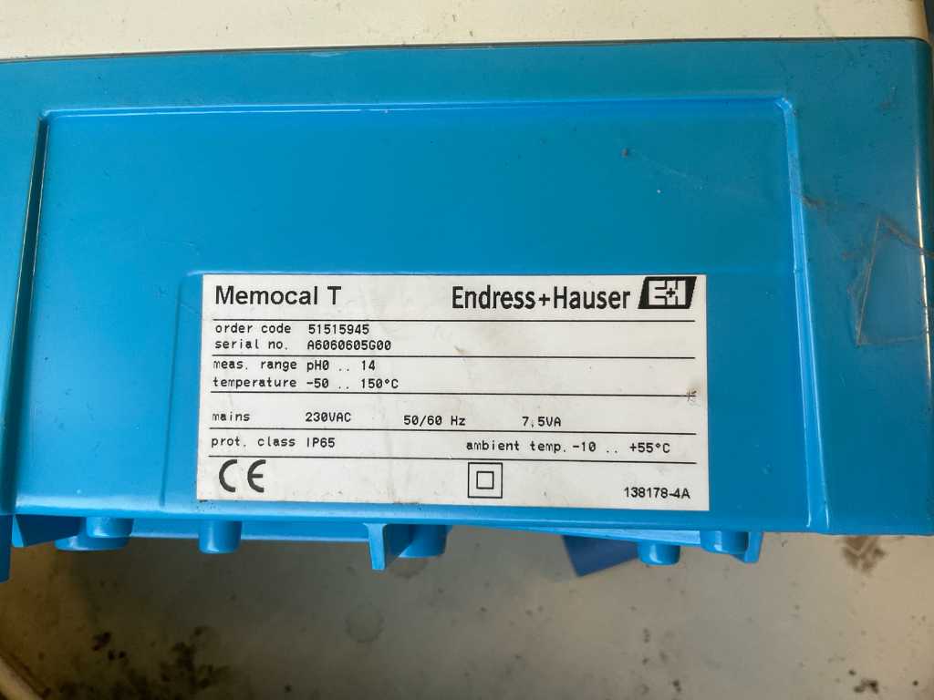 Écran Endress+Hauser Memocal T | Troostwijk Auctions