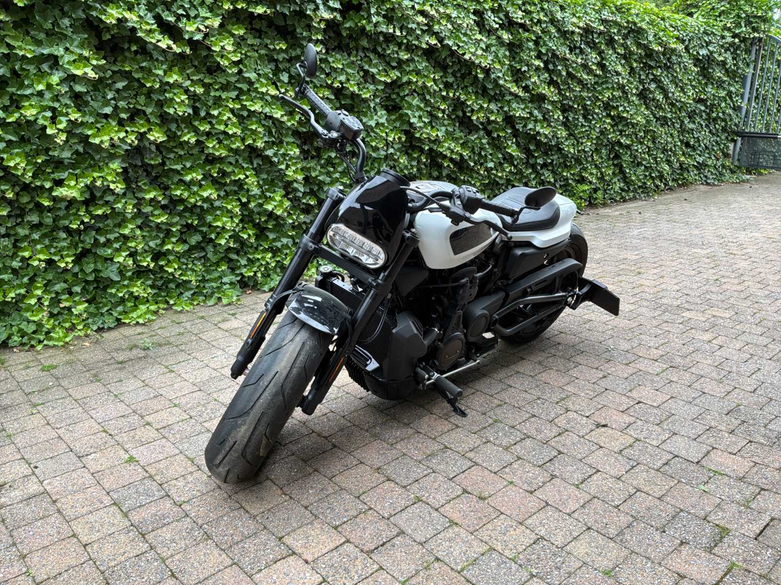 Harley Davidson Sportster s 1250 Motor | Vavato