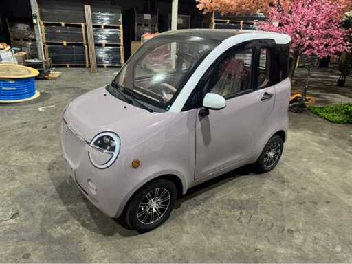 2026 electric microcar (45 km/h) | Troostwijk Auctions